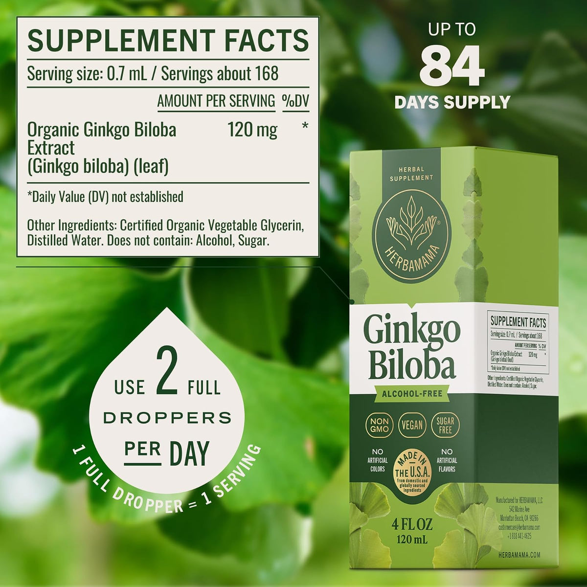 Natural Ginkgo Biloba for cognitive support
