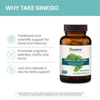 natural ginkgo biloba for cognitive support