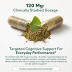 natural ginkgo biloba for focus