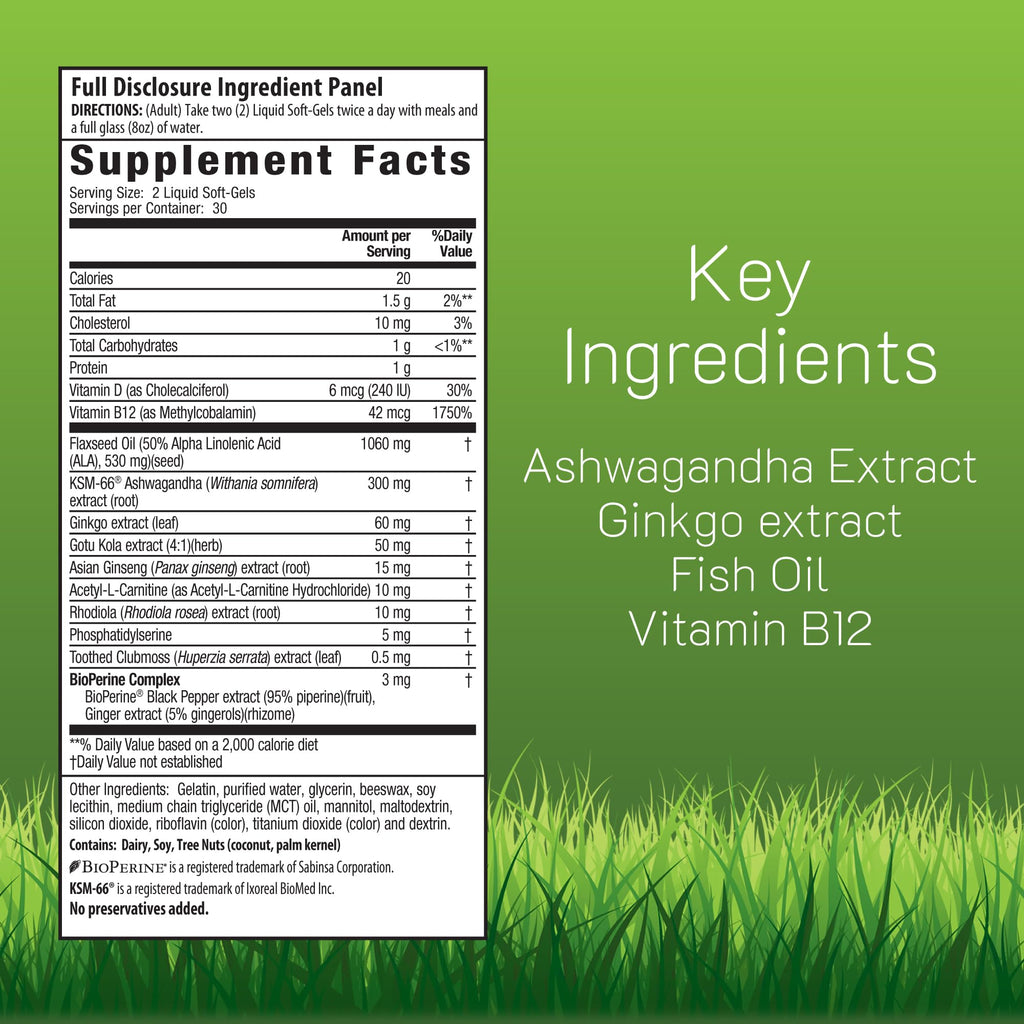 natural ginkgo biloba for focus