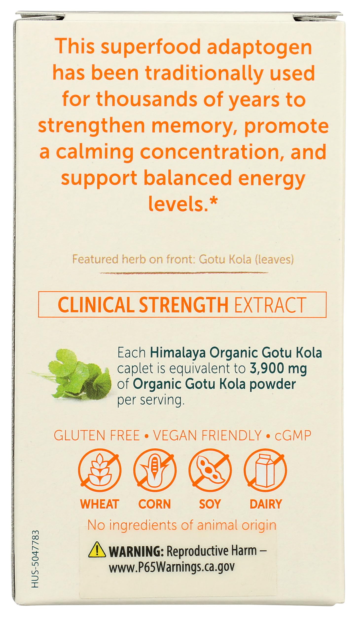 natural ginkgo biloba for memory enhancement