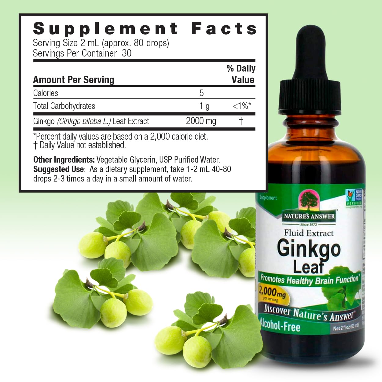 natural ginkgo biloba for memory