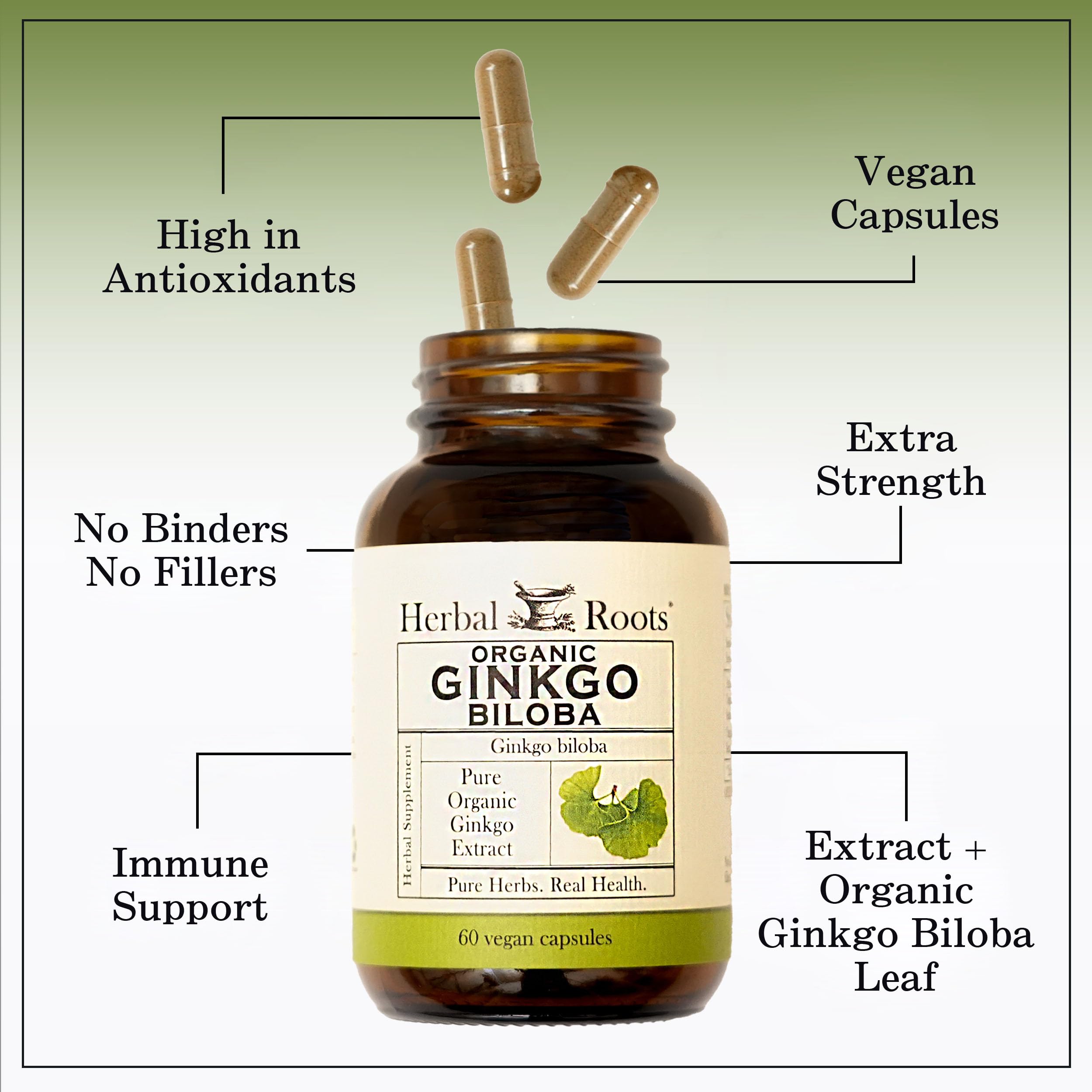 natural ginkgo biloba for tinnitus relief