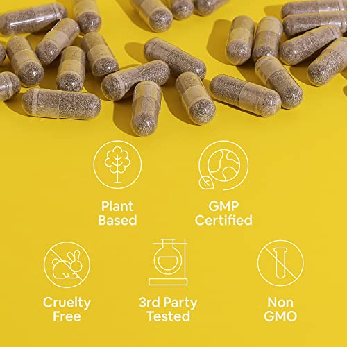 natural ginkgo biloba for tinnitus relief