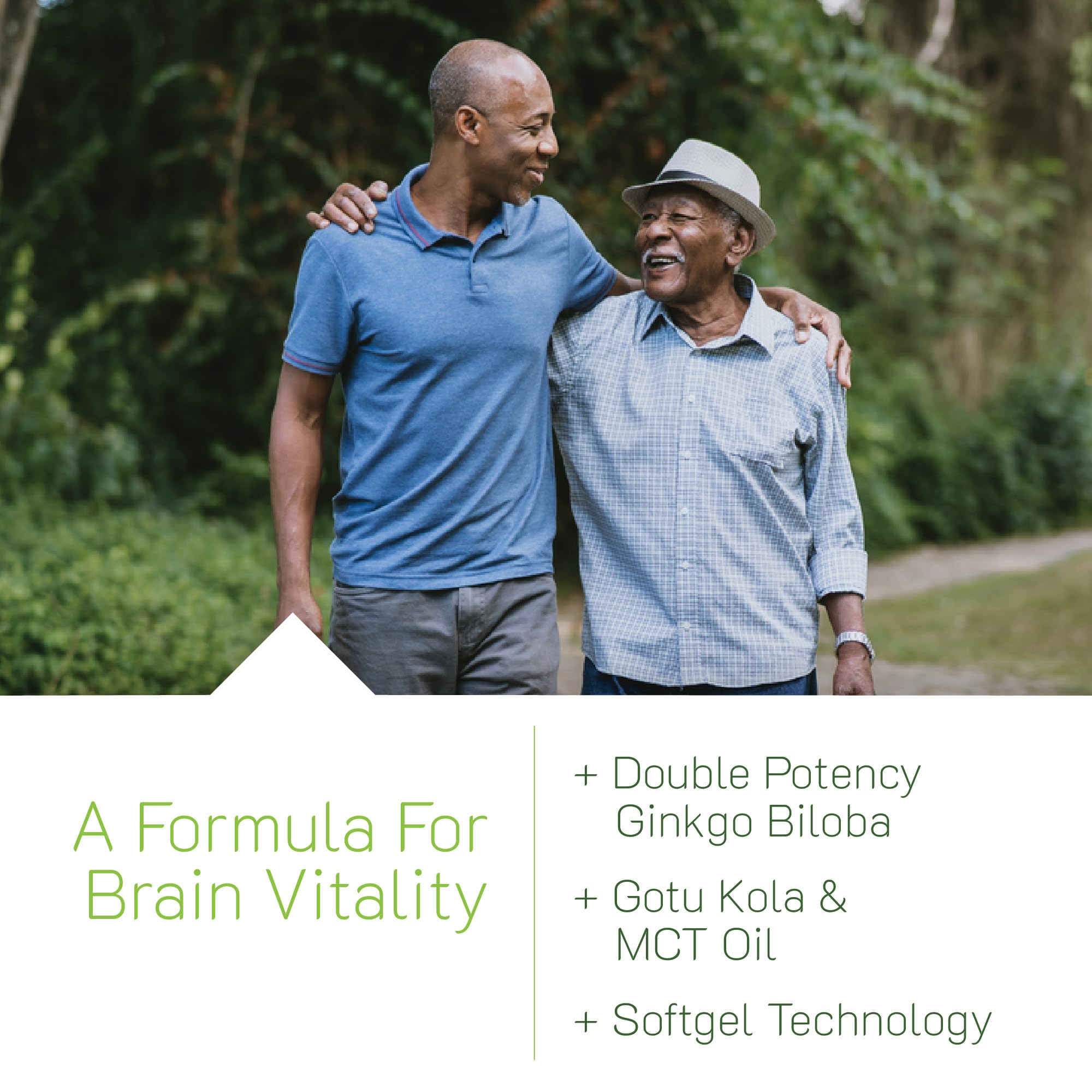 natural ginkgo biloba for tinnitus relief