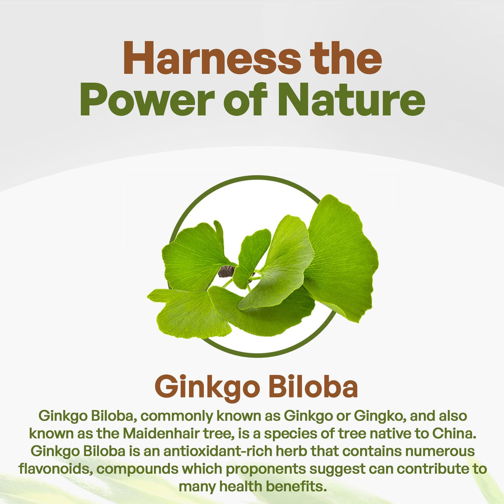 natural ginkgo biloba for tinnitus