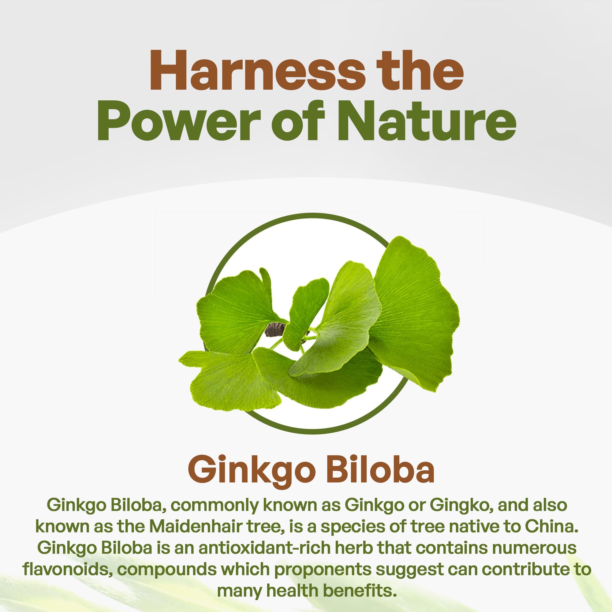 natural ginkgo biloba for tinnitus