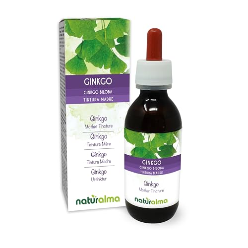natural ginkgo biloba herbal extract