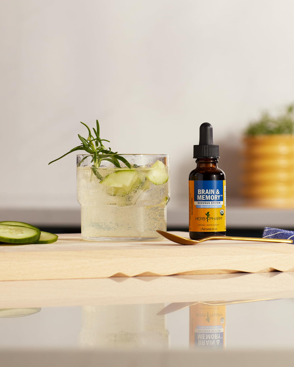 natural ginkgo biloba nootropic support