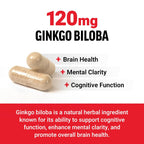 natural ginkgo biloba supplement benefits