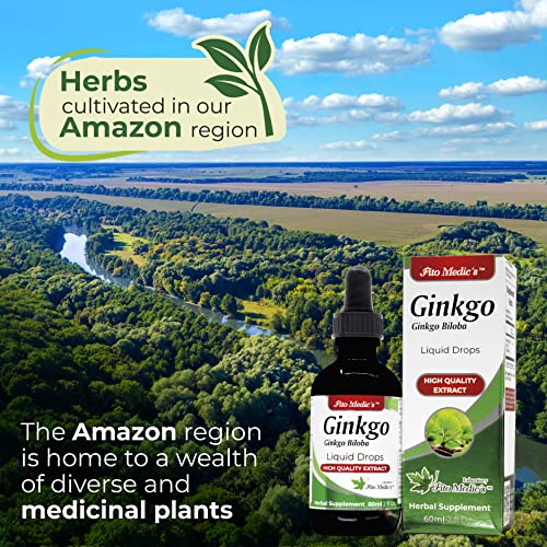 natural ginkgo biloba supplement choice
