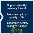 natural ginkgo biloba supplement for circulation