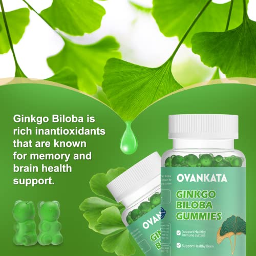 natural ginkgo biloba supplement for energy