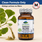 natural ginkgo biloba supplement for focus