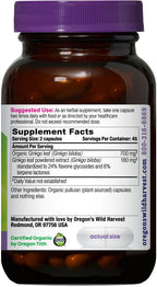 natural ginkgo biloba supplement for memory