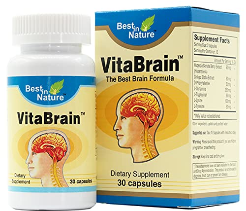 Natural ginkgo biloba supplement for memory