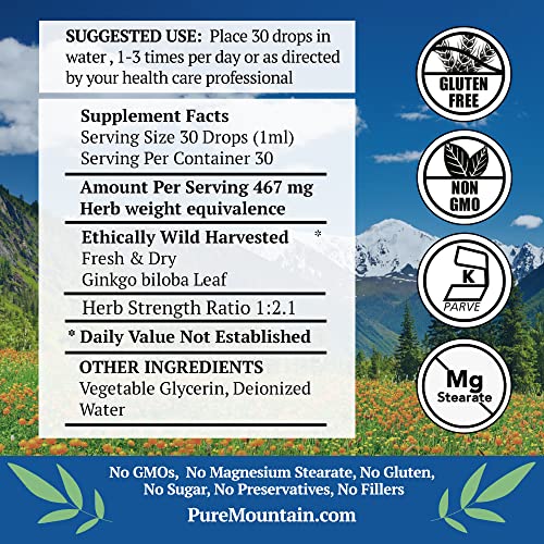 natural ginkgo biloba supplement
