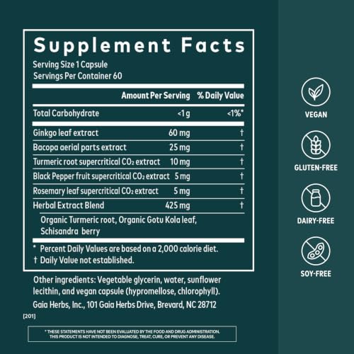 natural ginkgo biloba supplement