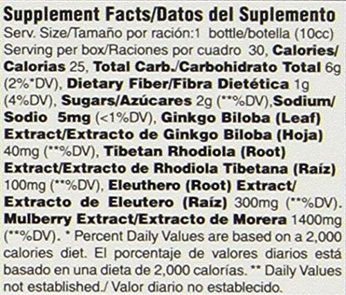 natural ginkgo biloba supplement
