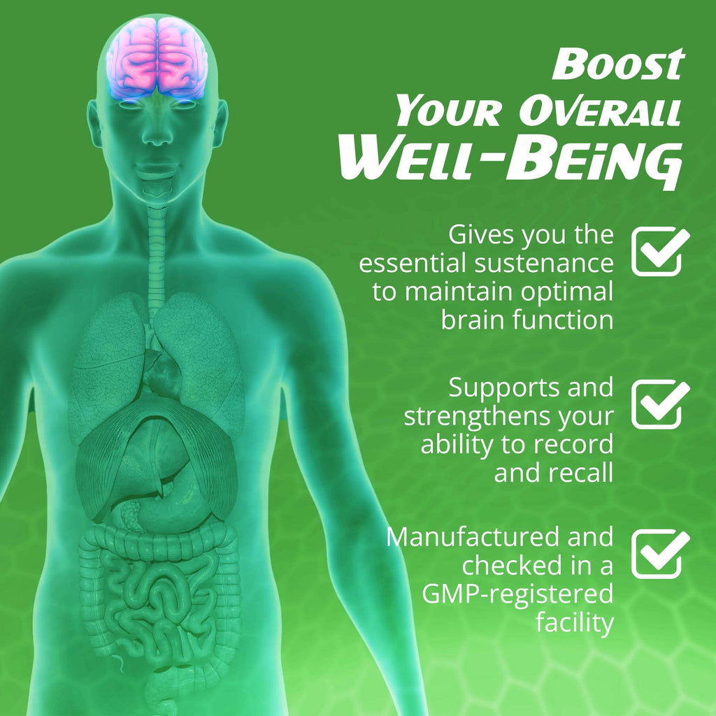 natural ginkgo biloba supplement