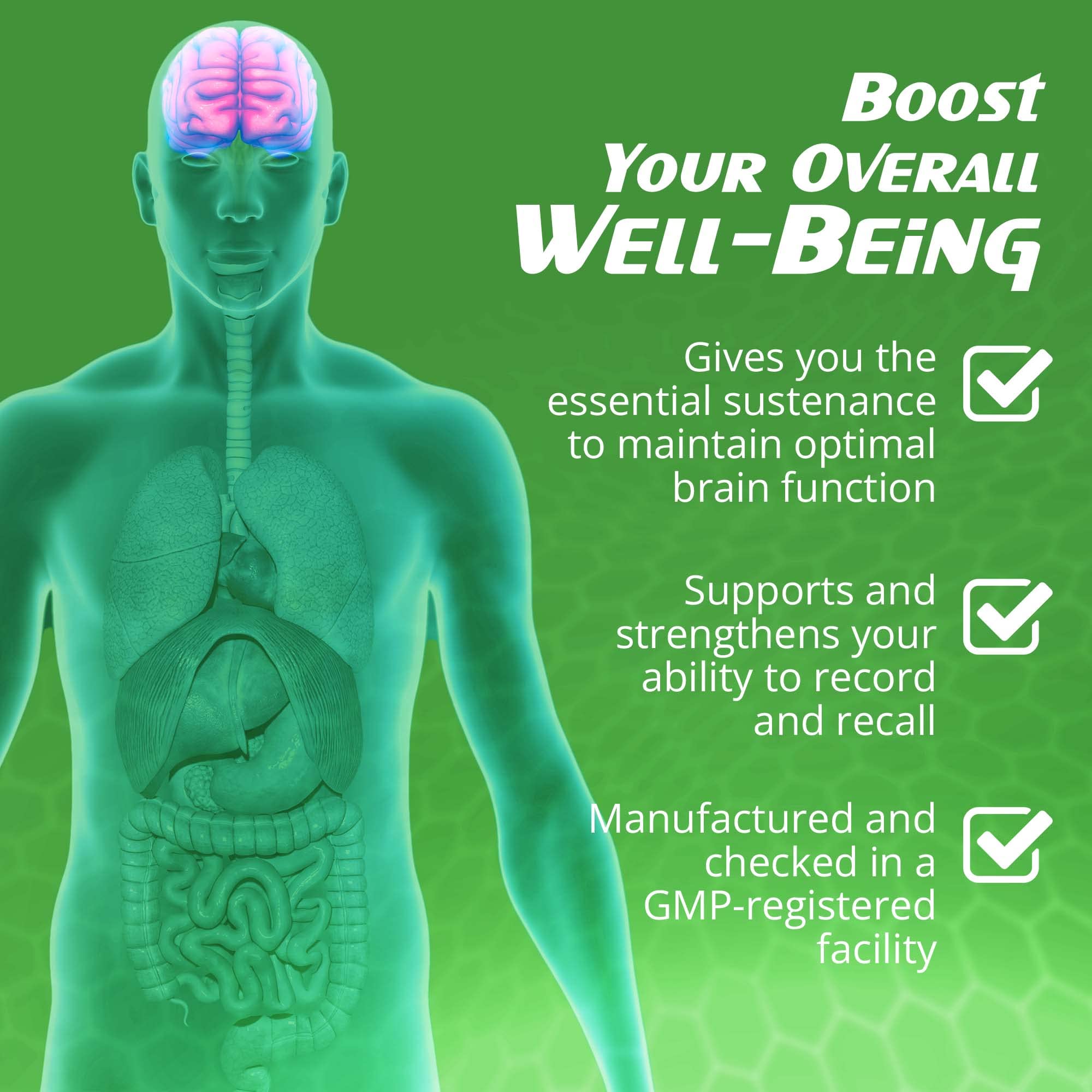 natural ginkgo biloba supplement