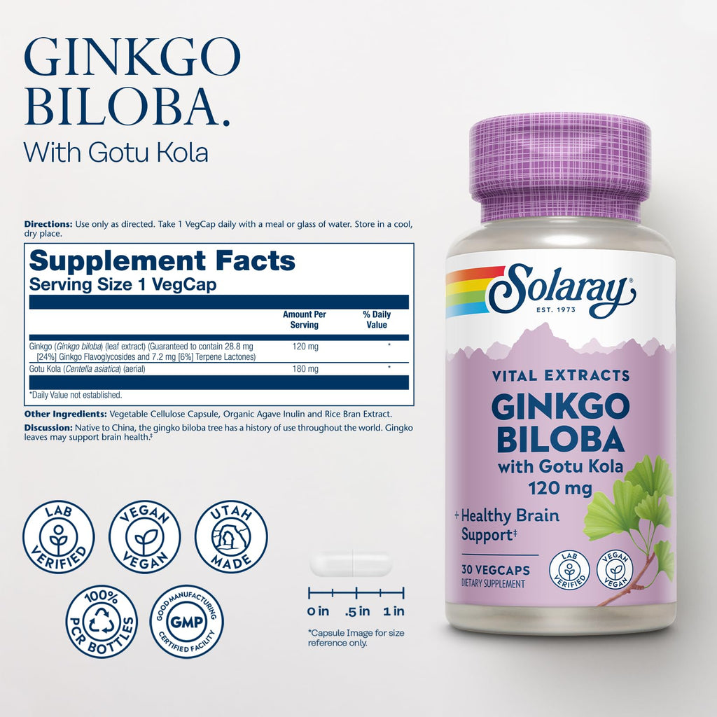 natural ginkgo biloba supplement