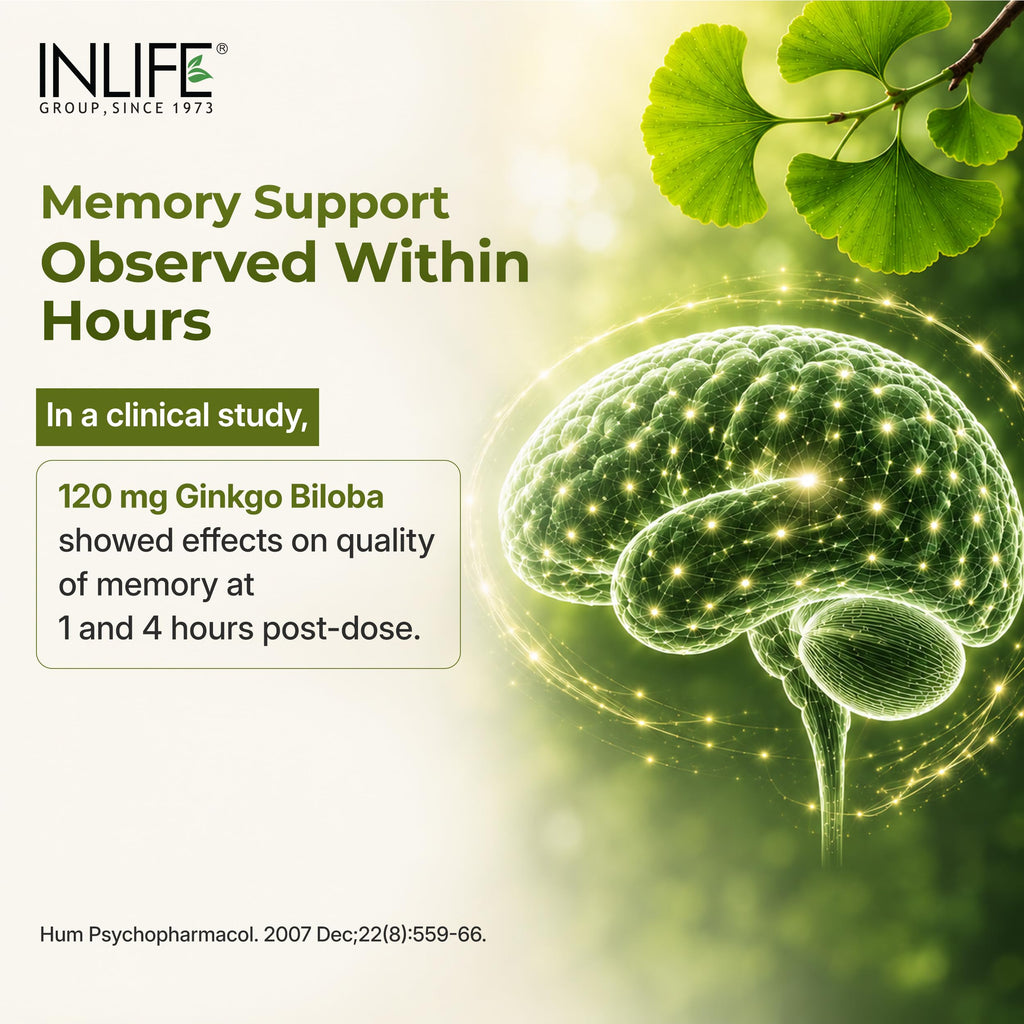 natural ginkgo biloba supplement