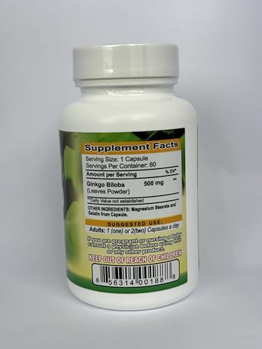 natural ginkgo biloba tablet for focus