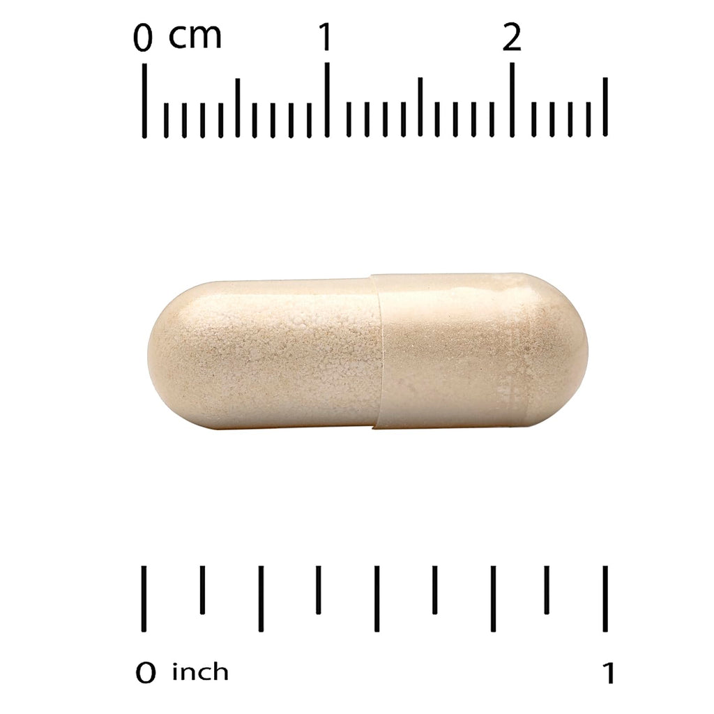 natural ginkgo biloba tablet option