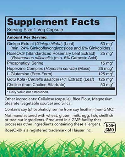 natural ginkgo biloba tablets for focus