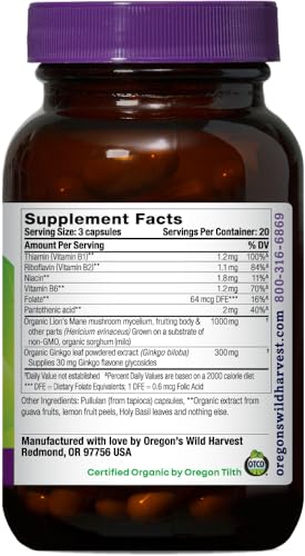 natural ginkgo biloba tablets for focus