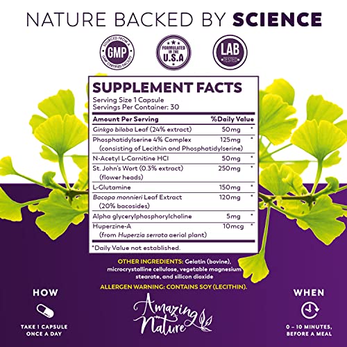 natural ginkgo biloba tablets