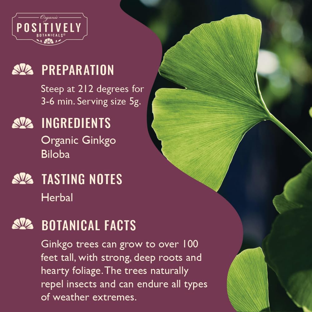 natural ginkgo biloba tea benefits