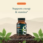 Natural ginseng alternative supplements