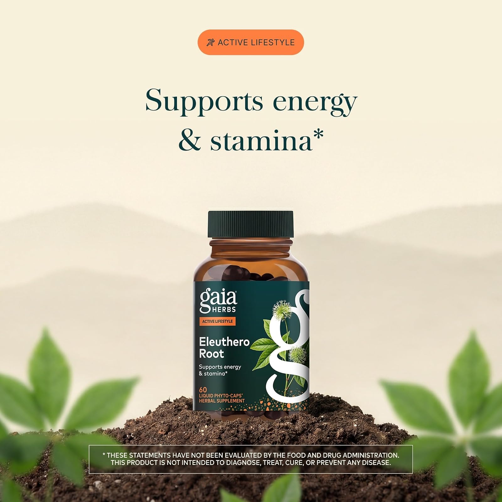 Natural ginseng alternative supplements