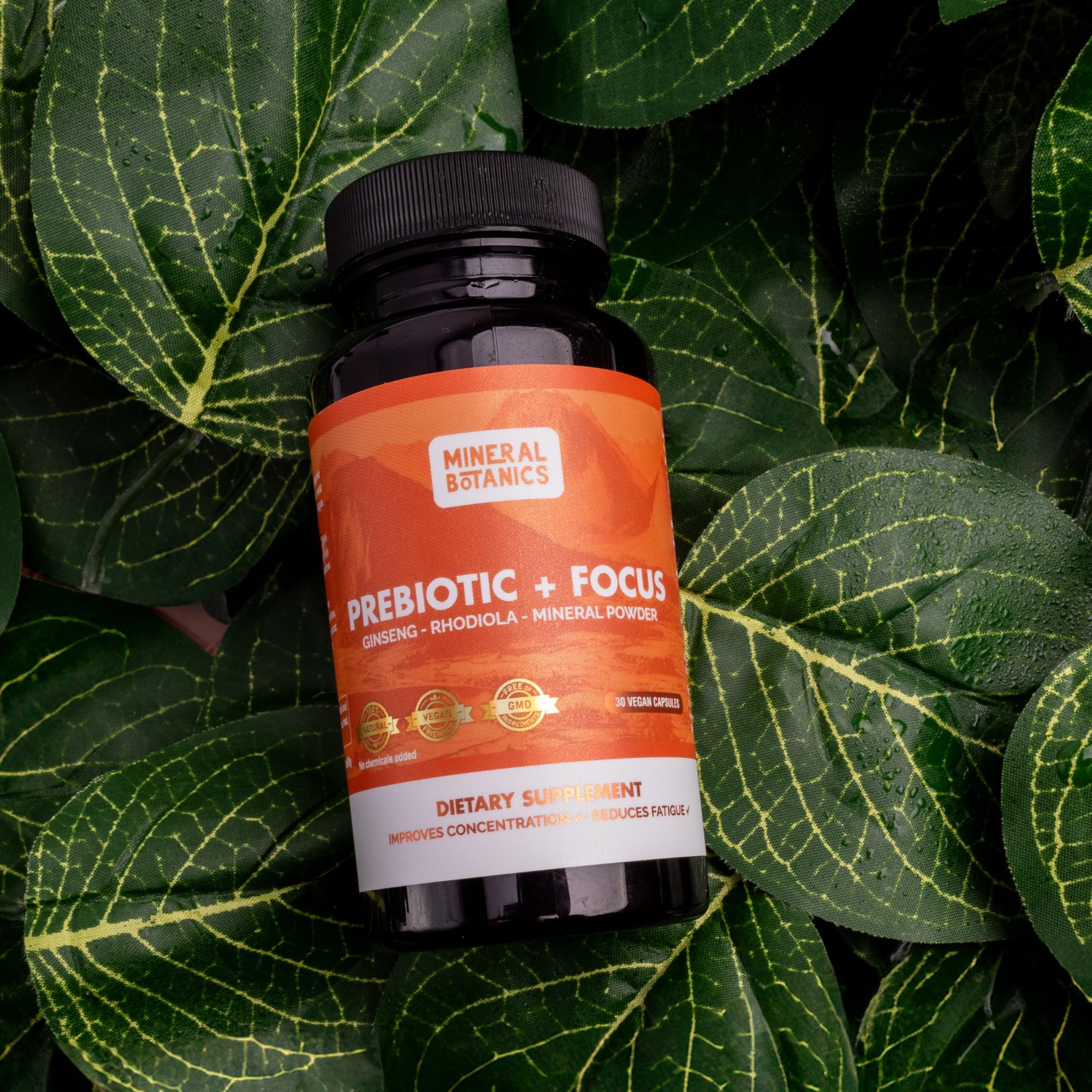 natural ginseng and rhodiola capsules