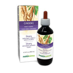 natural ginseng root tincture benefits