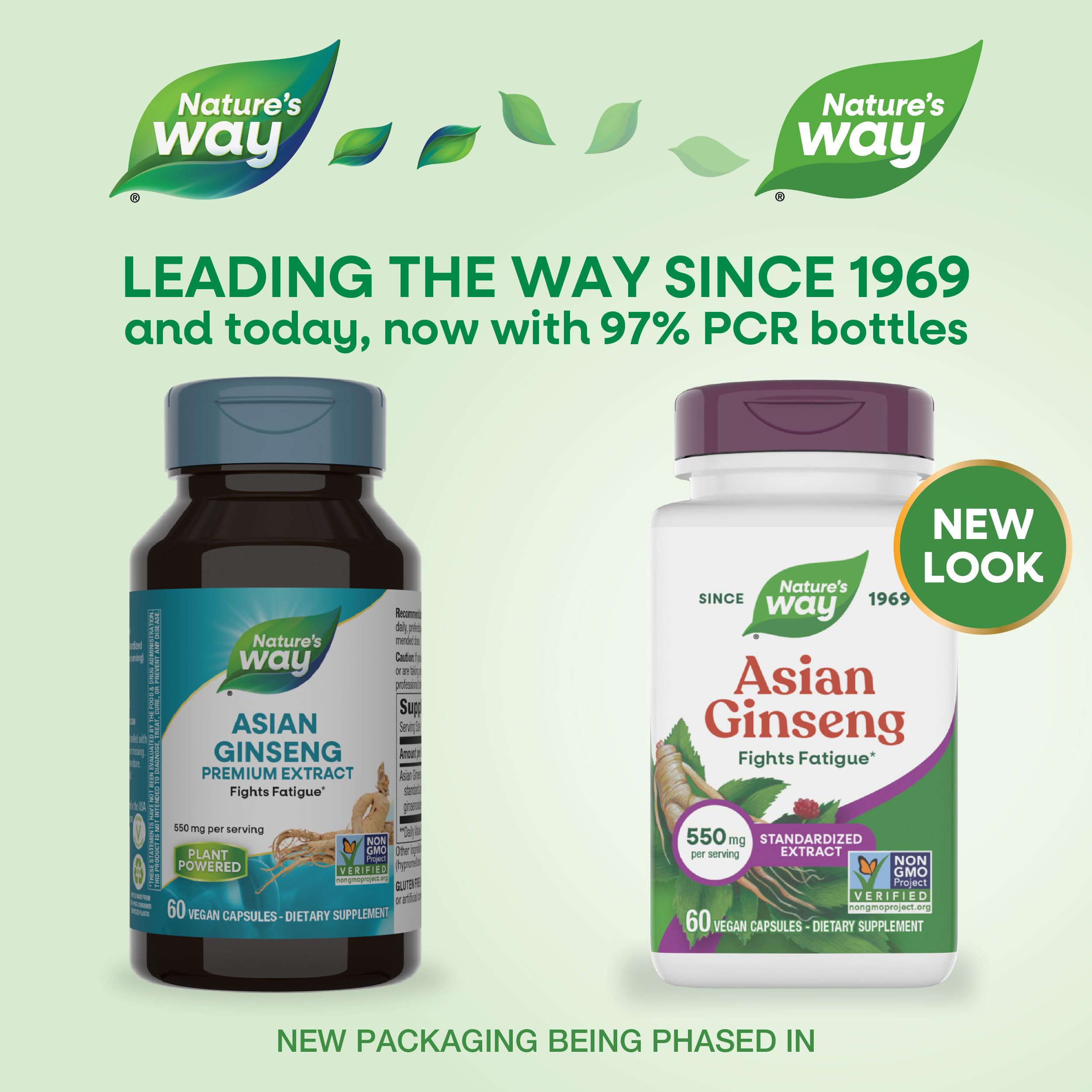 natural ginseng supplement for wellness
