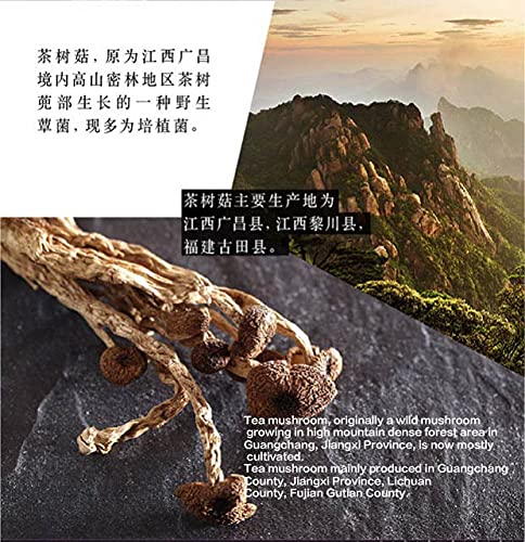 natural ginseng supplement for wellness