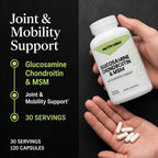 natural glucosamine chondroitin for pain relief