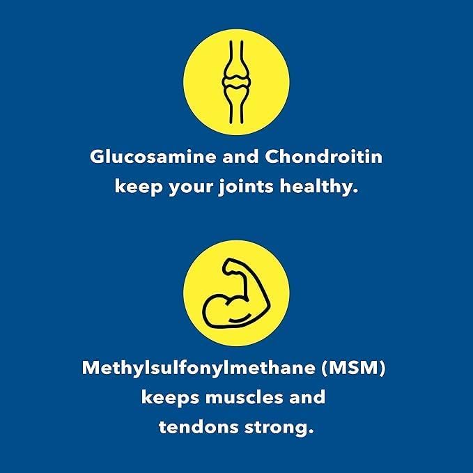 natural glucosamine chondroitin supplement benefits