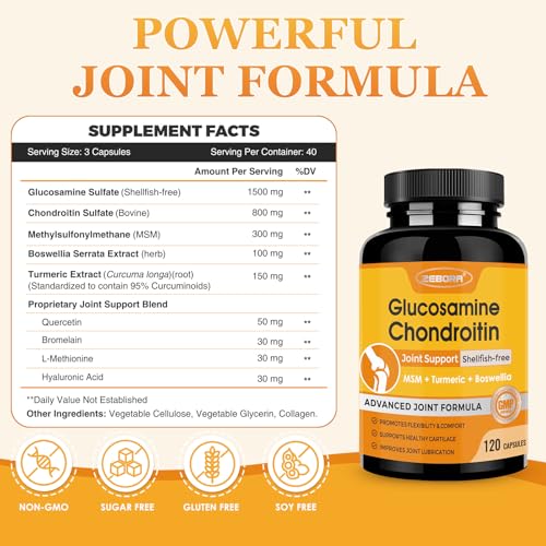 natural glucosamine chondroitin supplement