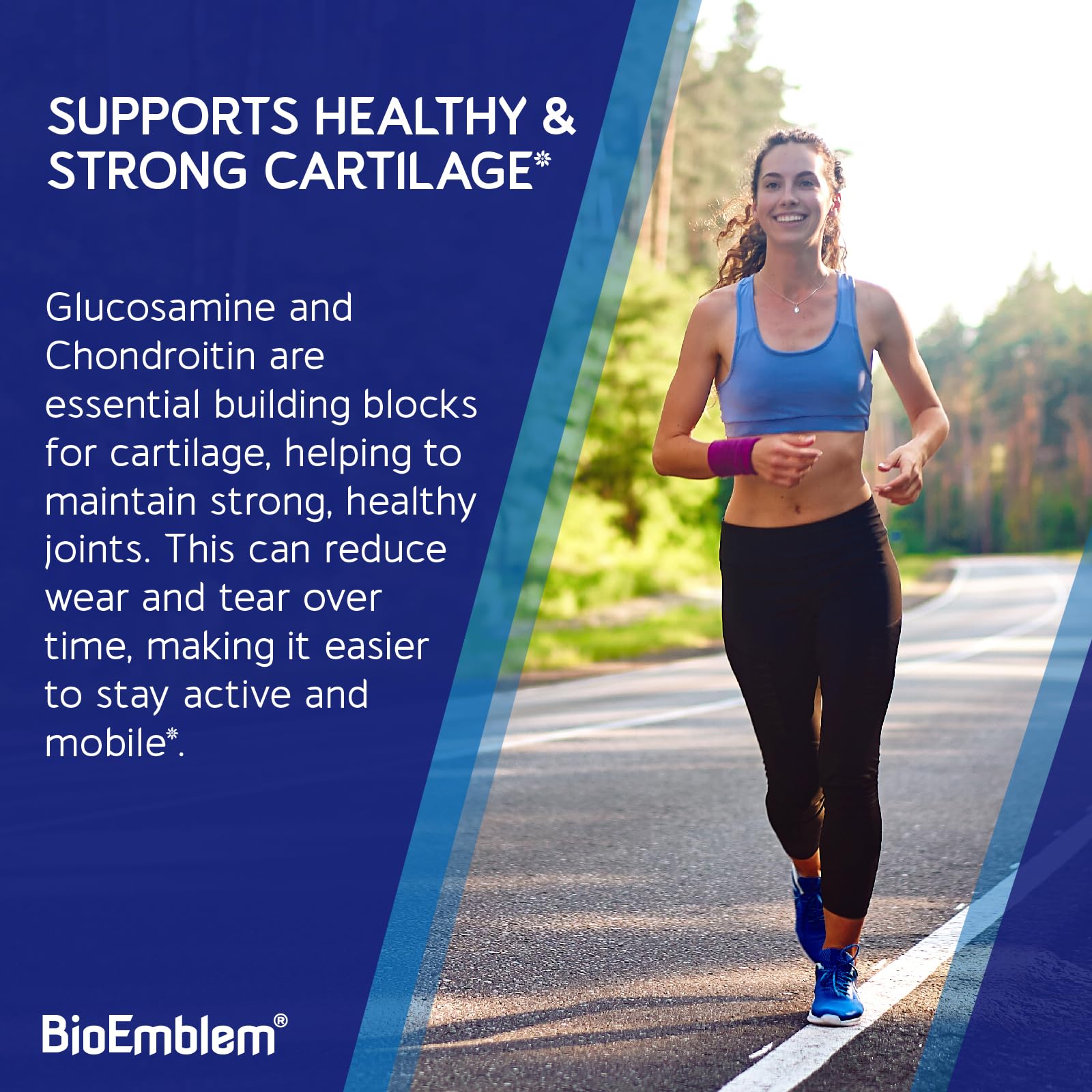 natural glucosamine chondroitin supplement