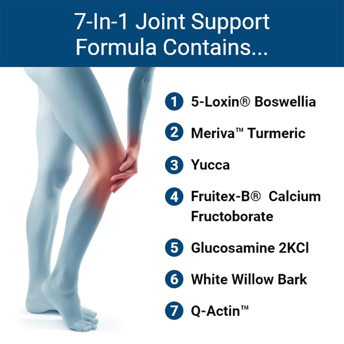 natural glucosamine chondroitin supplement