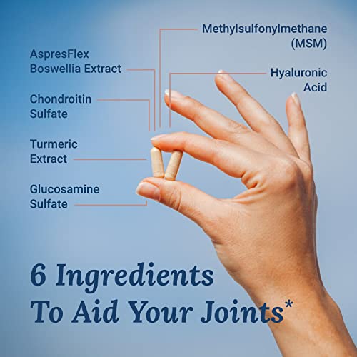 natural glucosamine chondroitin supplement