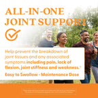 natural glucosamine chondroitin supplement