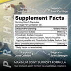 natural glucosamine chondroitin supplement