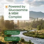 natural glucosamine supplement for flexibility