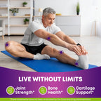 natural glucosamine supplement with MSM