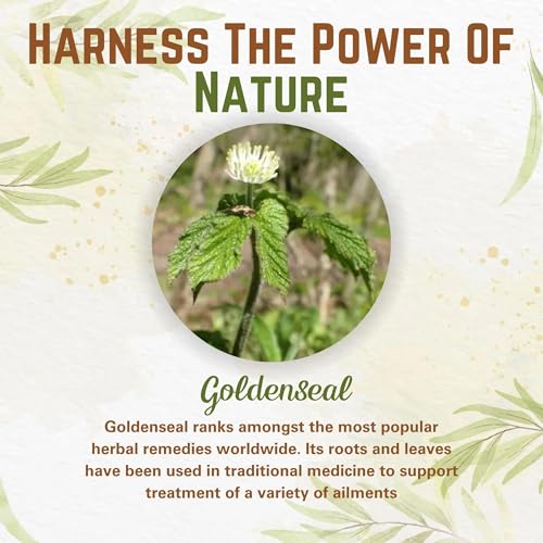 natural goldenseal powder for vitality